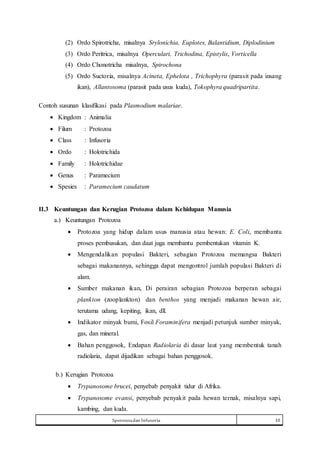 Makalah Protozoa, Filum Infusoria dan Sporozoa | DOCX