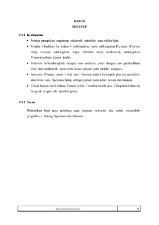 Makalah Protozoa, Filum Infusoria dan Sporozoa | DOCX
