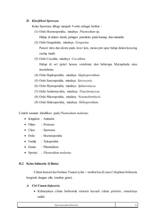 Makalah Protozoa, Filum Infusoria dan Sporozoa | DOCX
