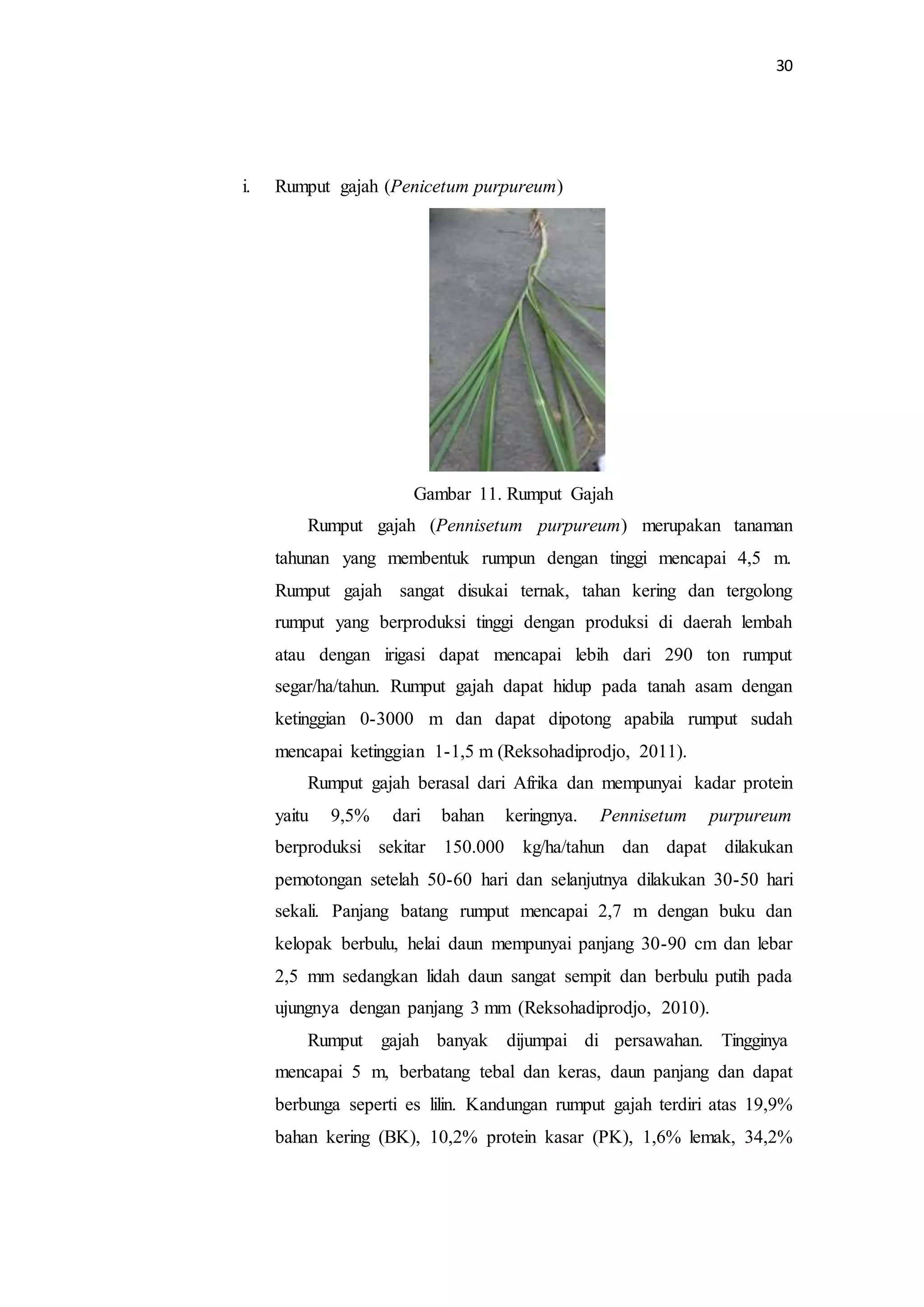 Pembahasan rumput | DOCX