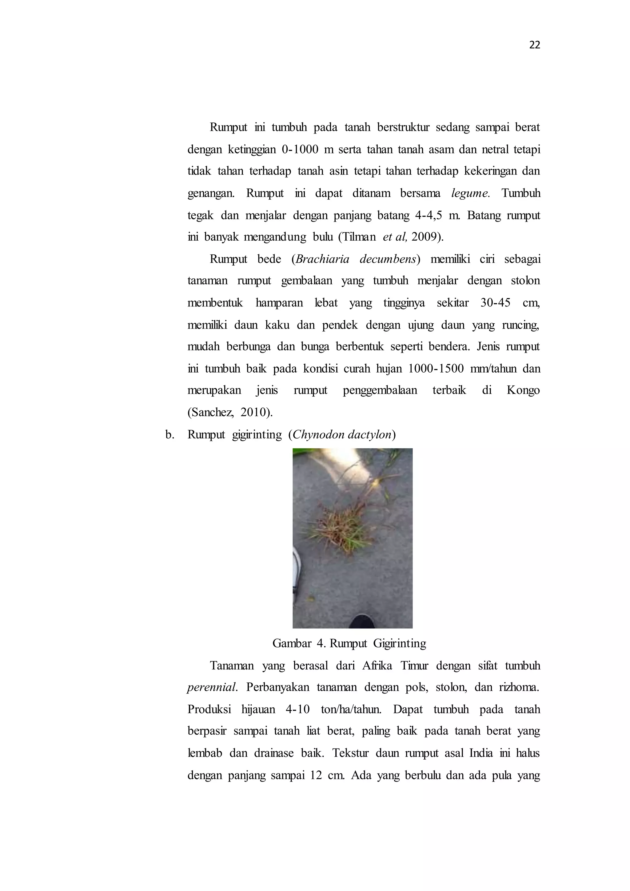 Pembahasan rumput | DOCX