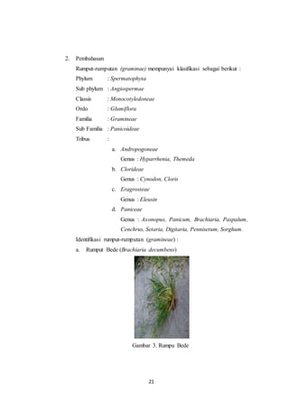 Pembahasan rumput | DOCX