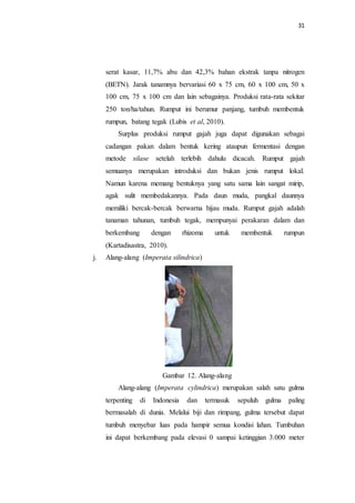 Pembahasan rumput | DOCX