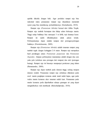 Pembahasan rumput | DOCX