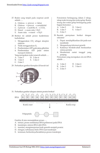 Pembahasan soal un biologi sma 2010 ryan akbar | PDF