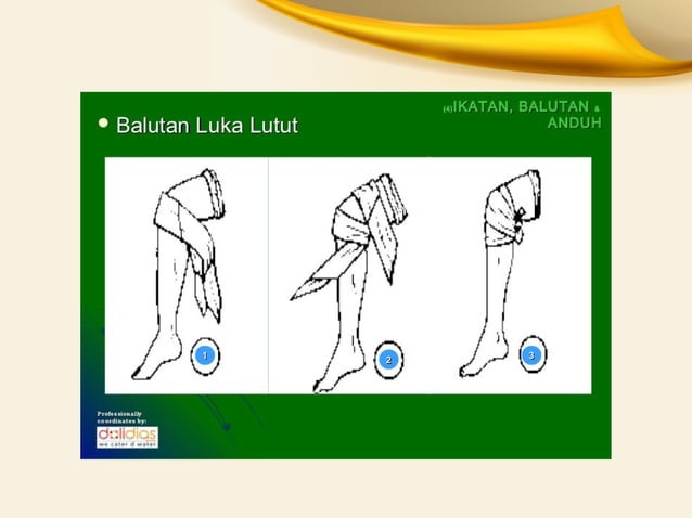 Pembalut dan Balutan (PBSM) | PPT
