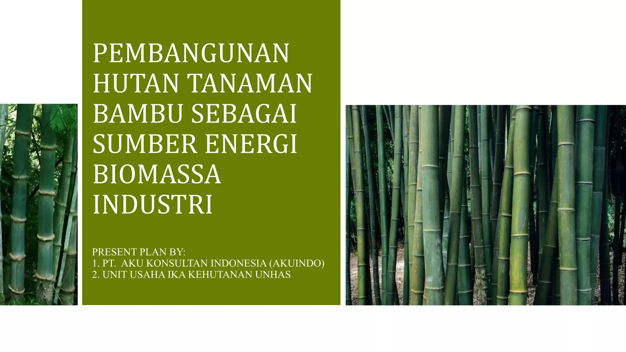 BAMBU SEBAGAI ENERGI BIOMASA | PPT