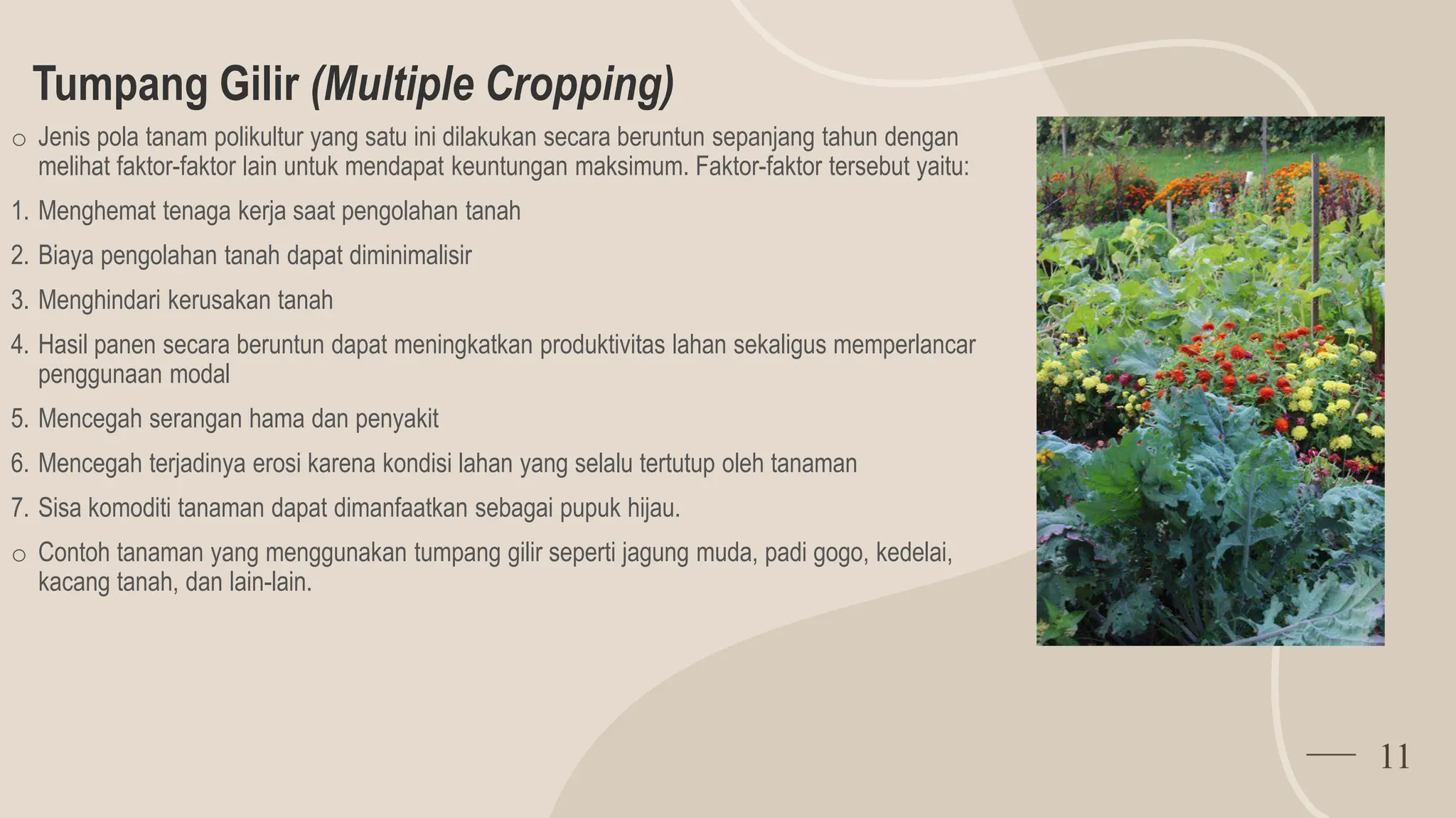 Pembangunan Pertanian Berkelanjutan 5.pptx