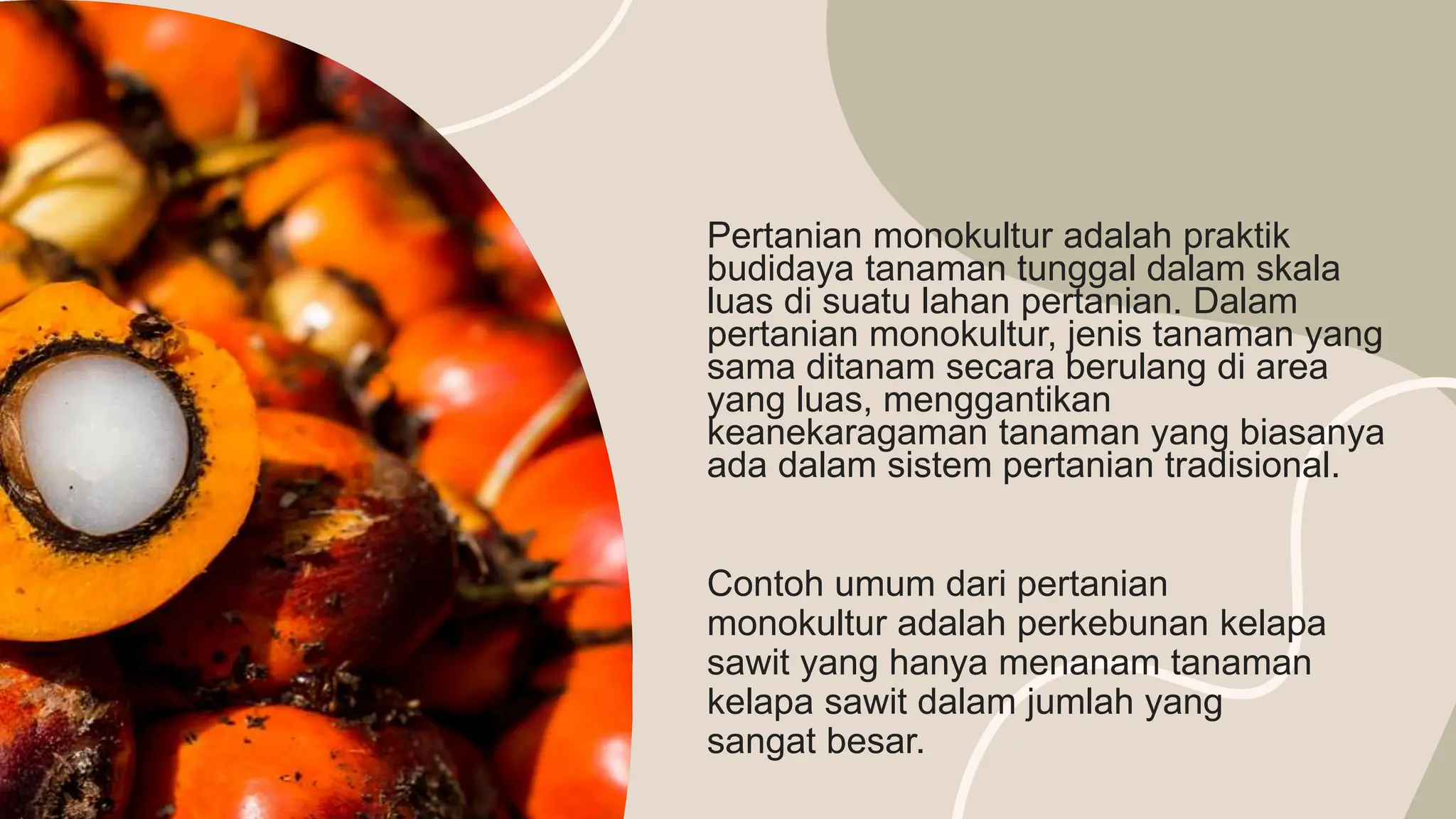 Pembangunan Pertanian Berkelanjutan 5.pptx