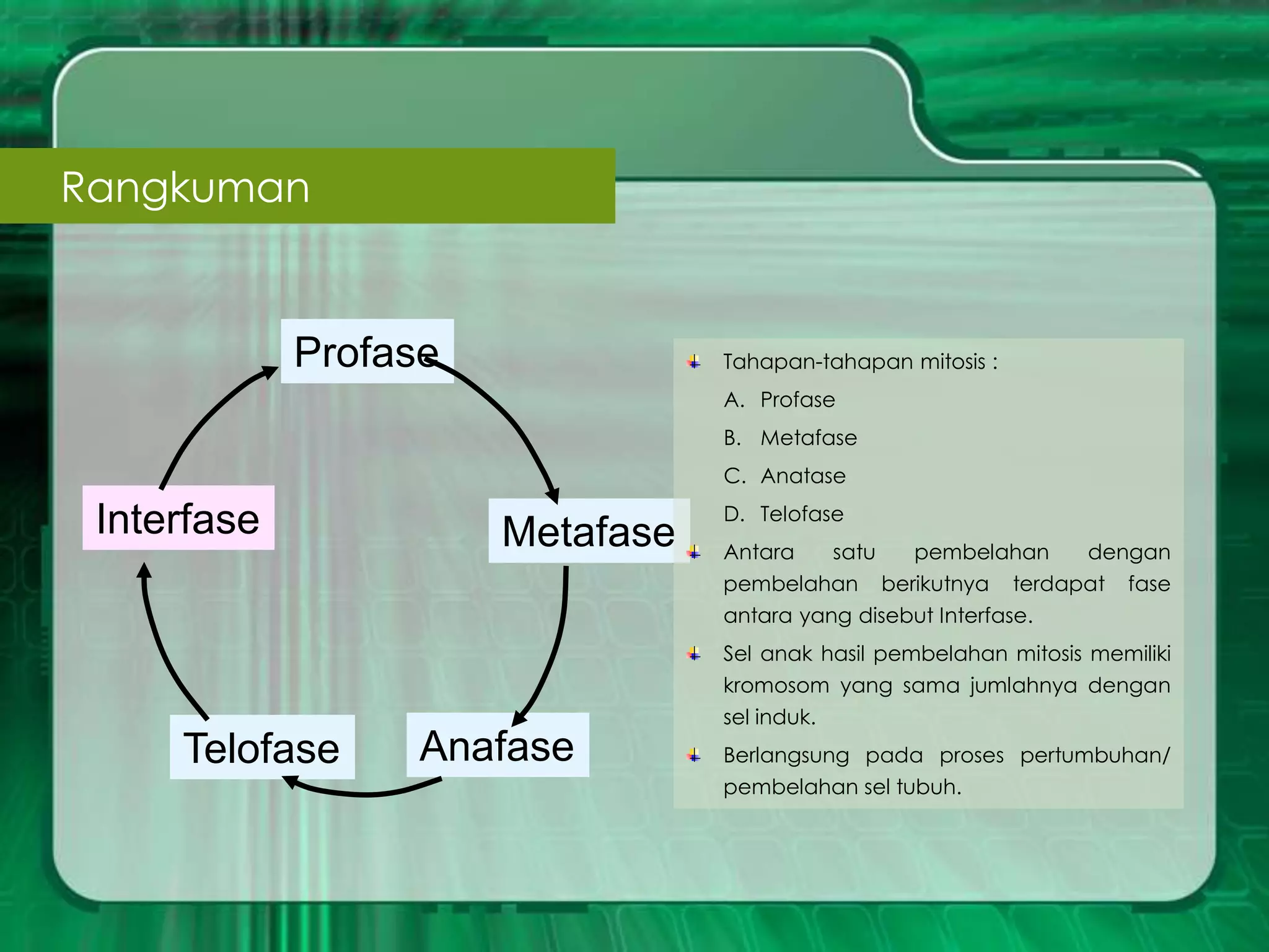 Pembelahan mitosis | PPTX