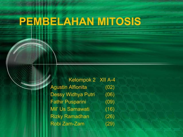 Pembelahan mitosis | PPTX