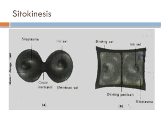 Bab Pembelahan sel : mitosis dan meiosis | PPTX