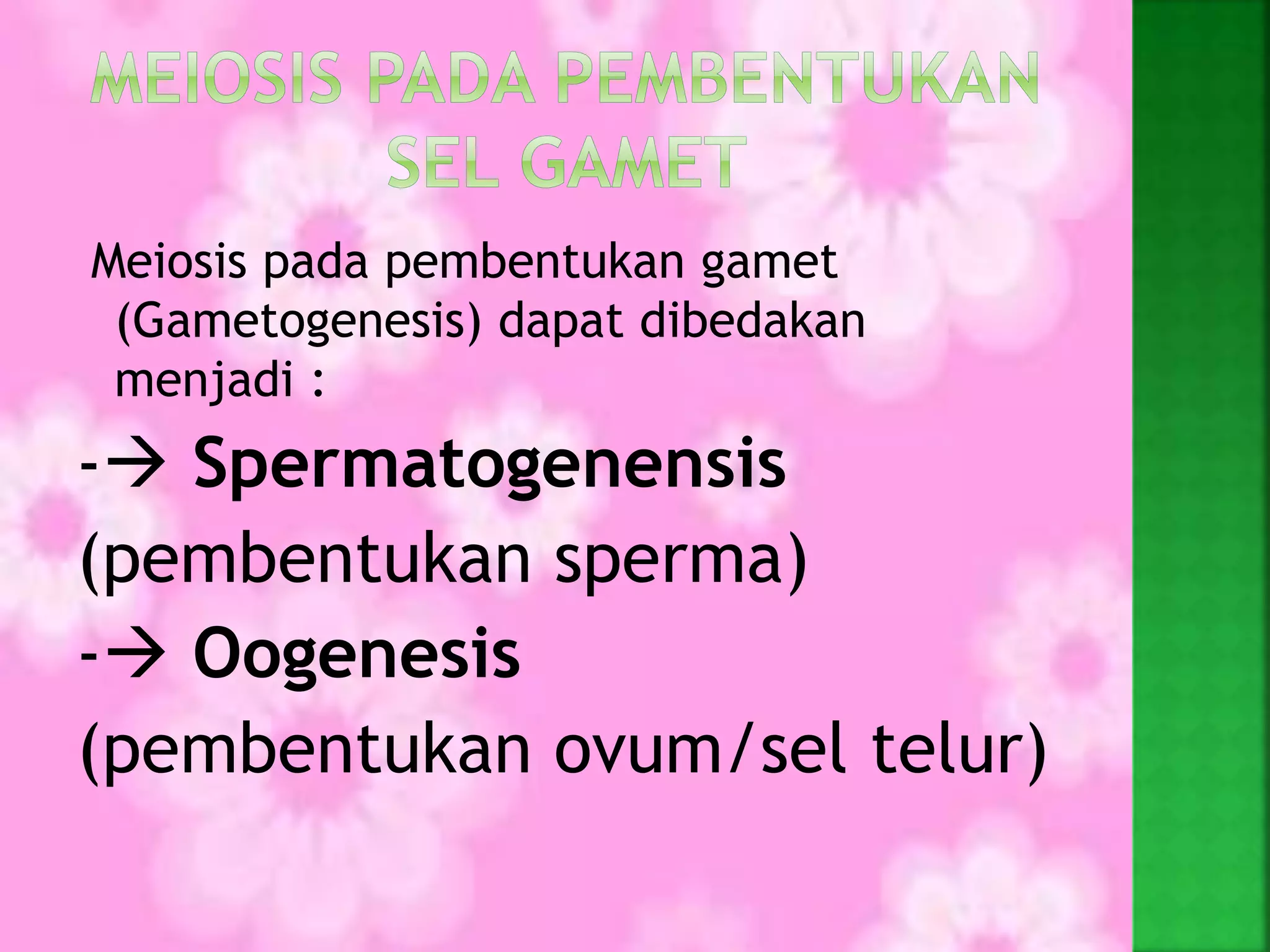 PRESENTASI BIOLOGI BAB Pembelahan sel SMA KELAS 12 KURIKULUM 2013 | PPTX