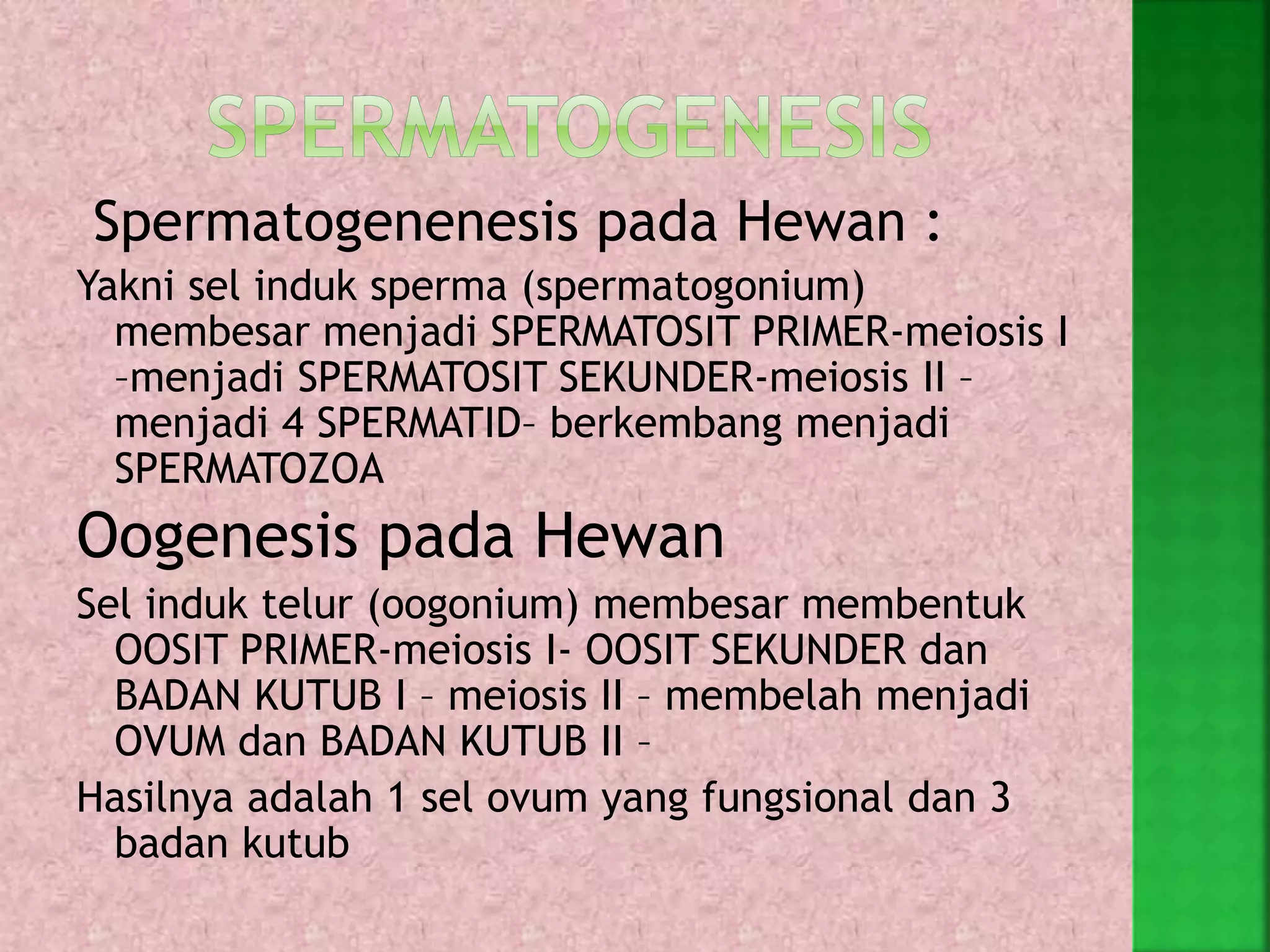 PRESENTASI BIOLOGI BAB Pembelahan sel SMA KELAS 12 KURIKULUM 2013 | PPTX