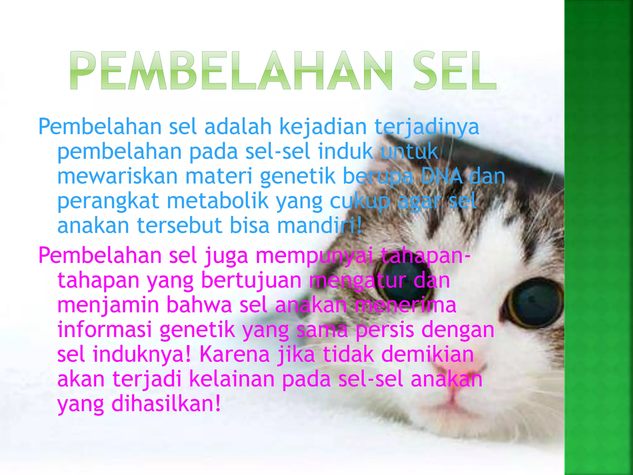 PRESENTASI BIOLOGI BAB Pembelahan sel SMA KELAS 12 KURIKULUM 2013 | PPTX