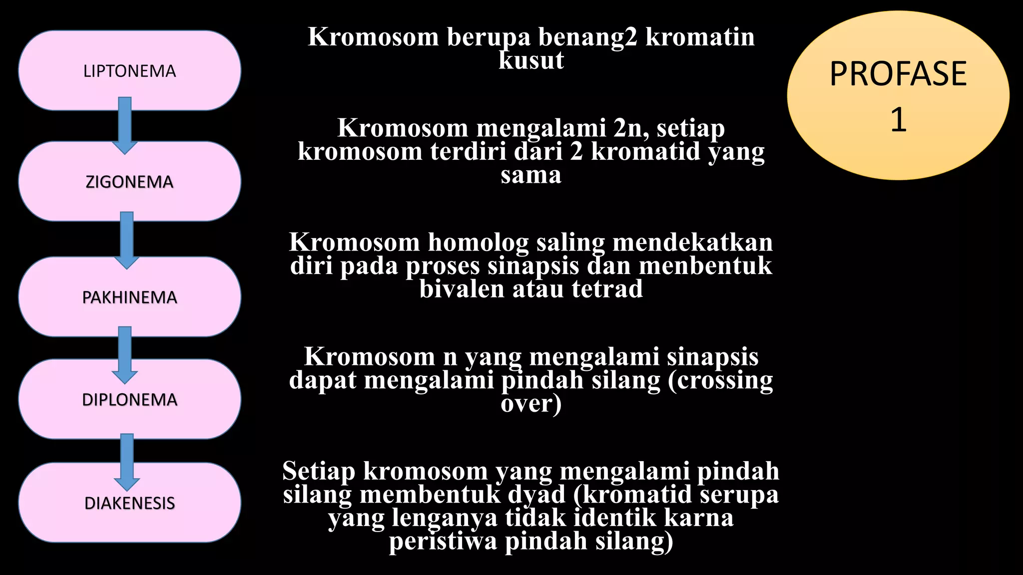 Pembelahan sel | PPTX