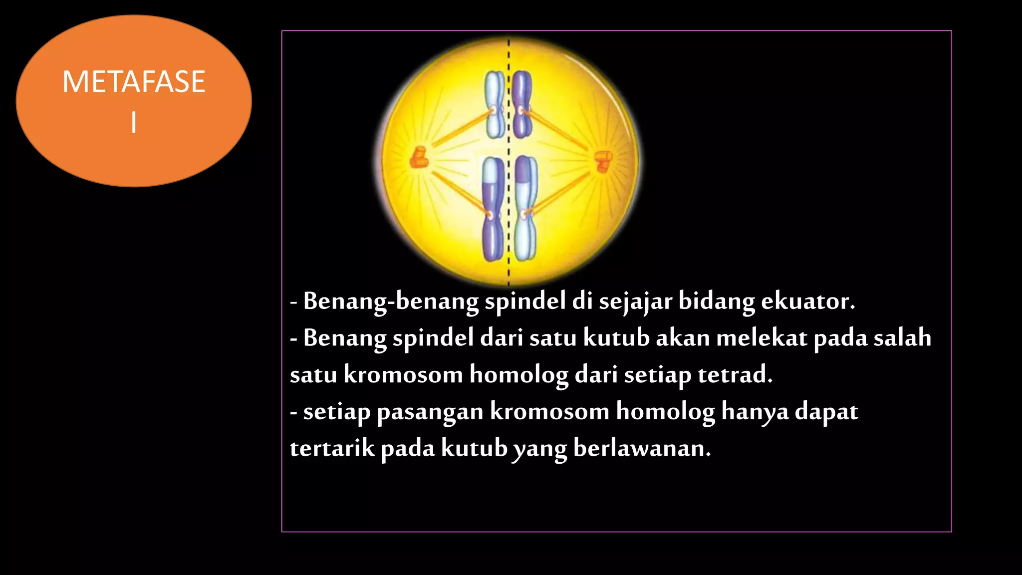 Pembelahan sel | PPTX