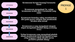 Pembelahan sel | PPTX