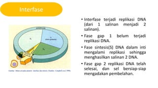 Pembelahan sel | PPT