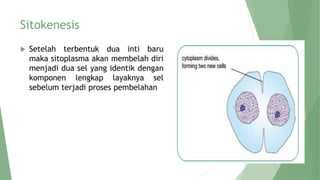 Materi Pembelajaran IPA Terpadu (Pembelahan sel, Mitosis dan Meiosis ...