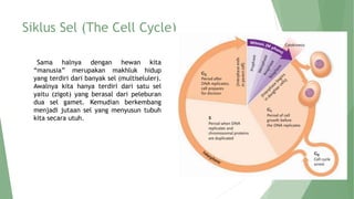 Materi Pembelajaran IPA Terpadu (Pembelahan sel, Mitosis dan Meiosis ...