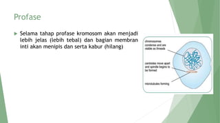 Materi Pembelajaran IPA Terpadu (Pembelahan sel, Mitosis dan Meiosis ...