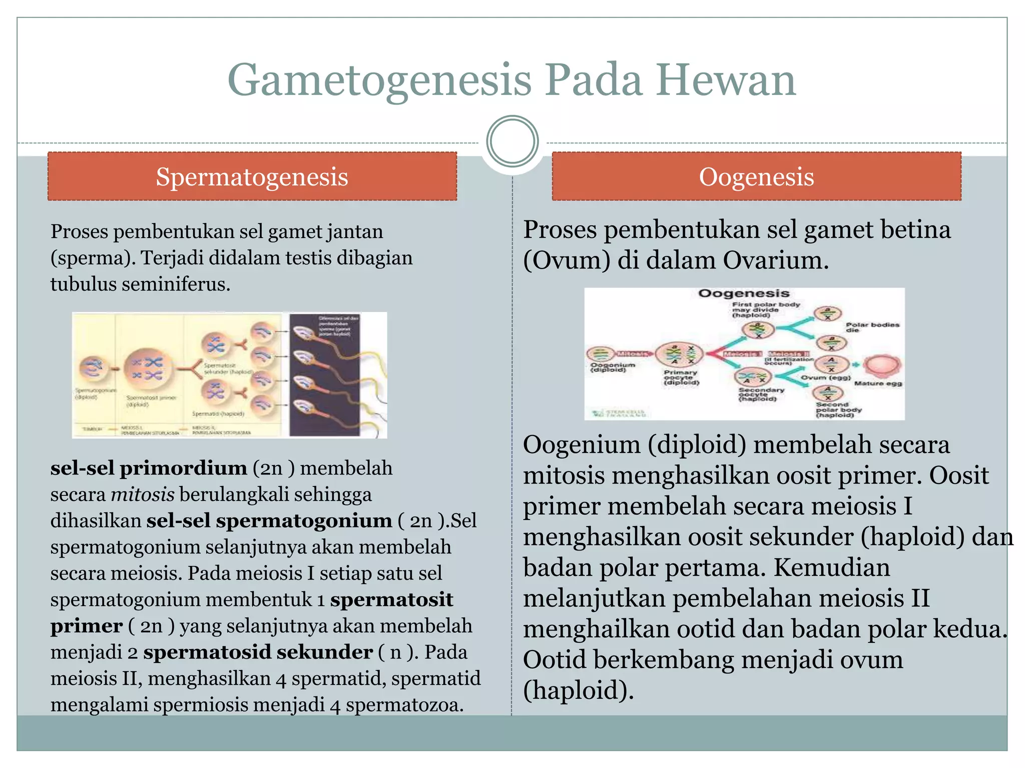 Pembelahan sel | PPTX