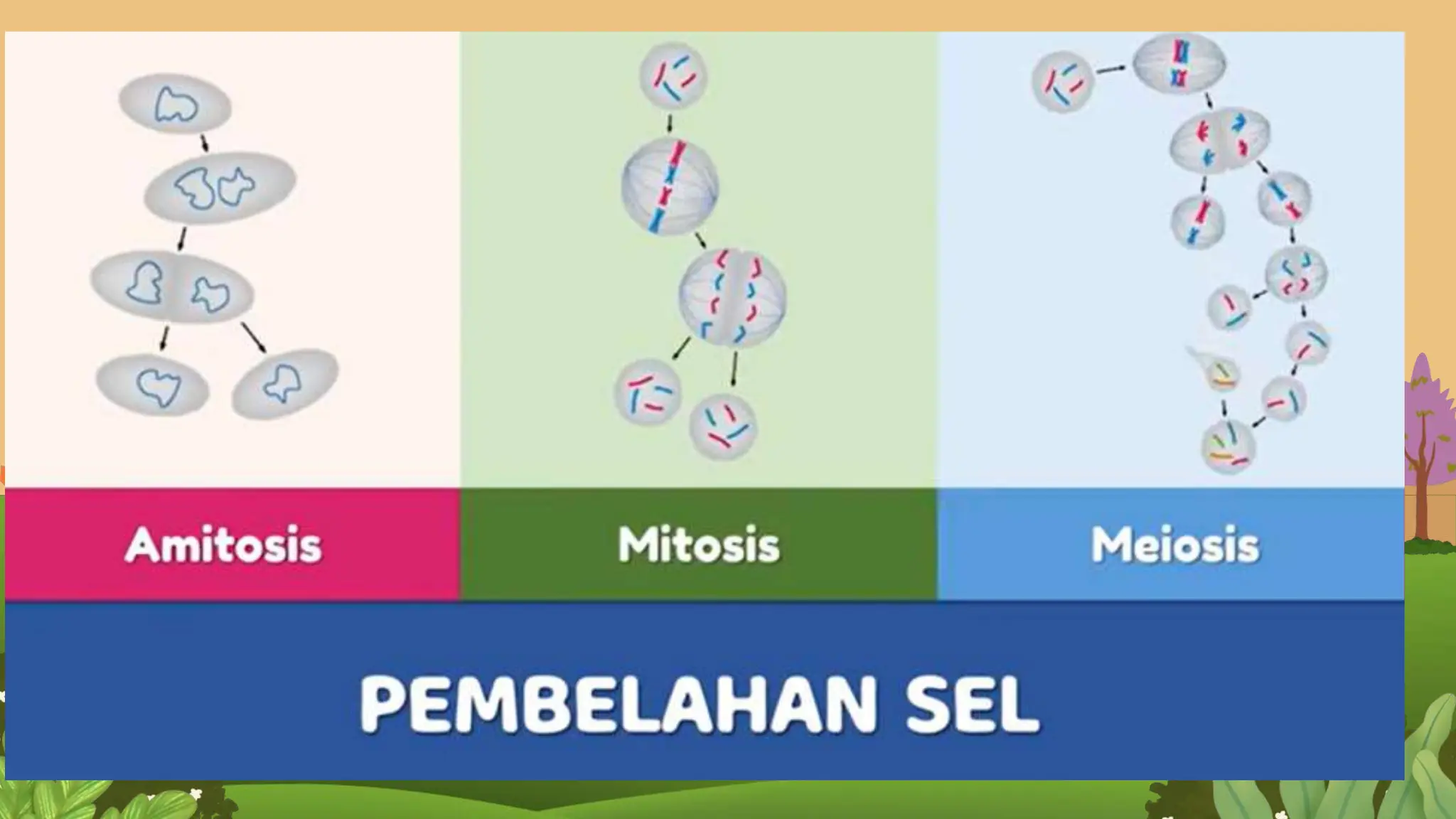 PEMBELAHAN SEL DLM PELAJARAN BIOLOGI.pptx