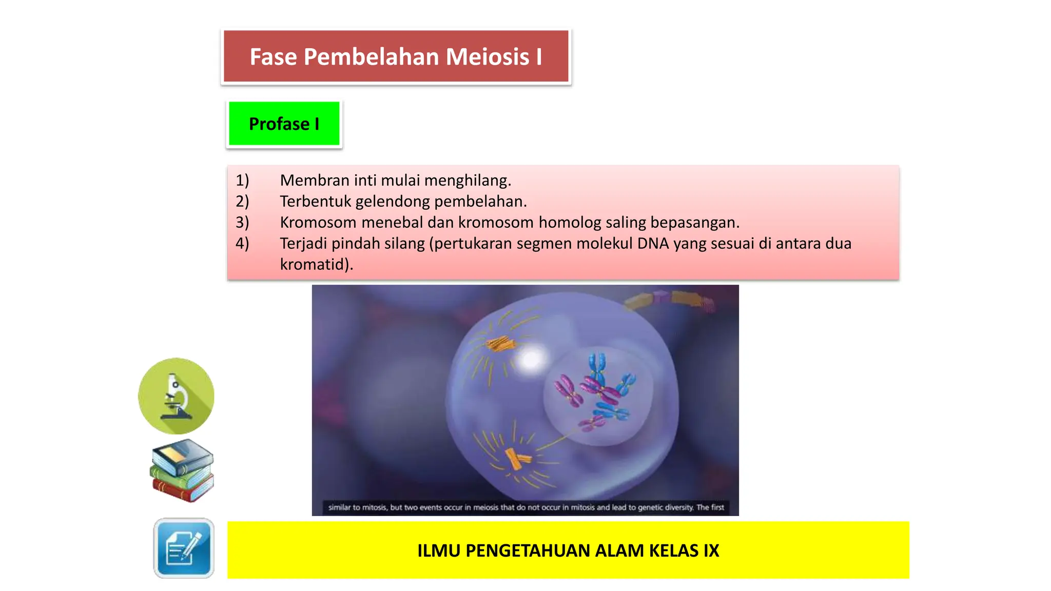 Pembelahan sel mitosis dan meosis materi kelas 9 | PPTX