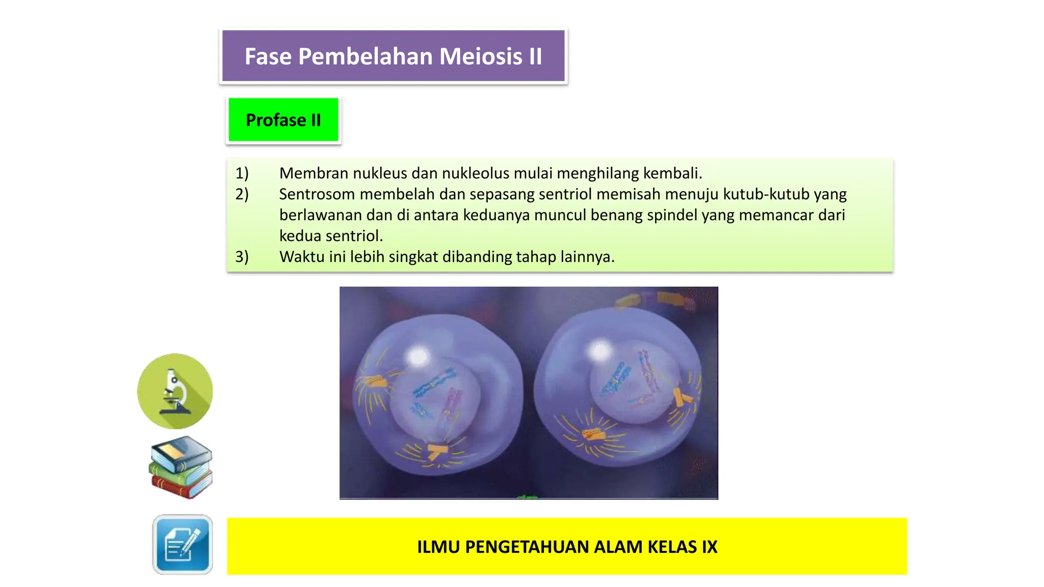 Pembelahan sel mitosis dan meosis materi kelas 9 | PPTX
