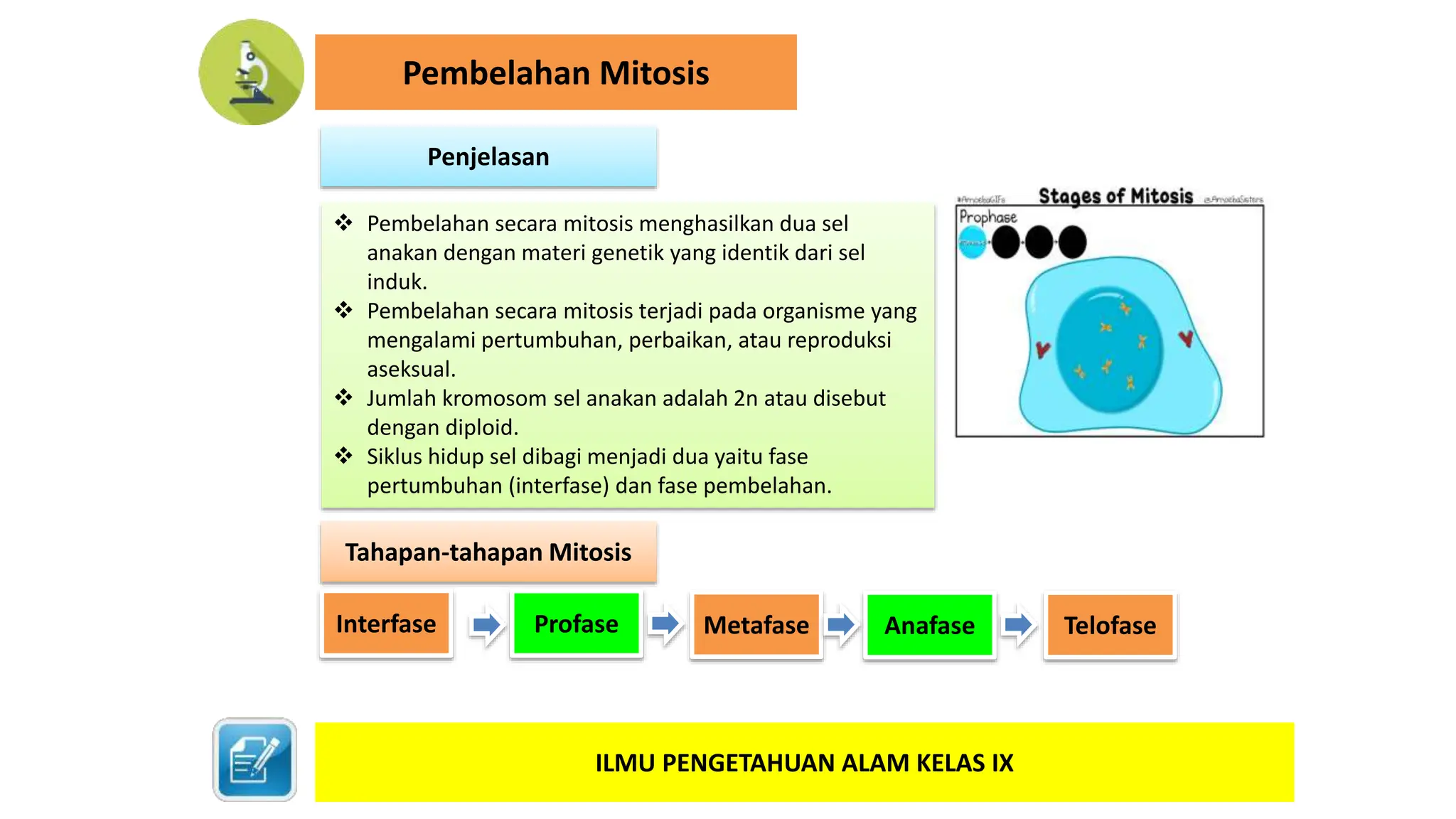 Pembelahan sel mitosis dan meosis materi kelas 9 | PPTX
