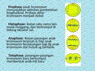 PEMBELAHAN SEL PADA TUBUH MANUSIA POWERPOINT | PPT