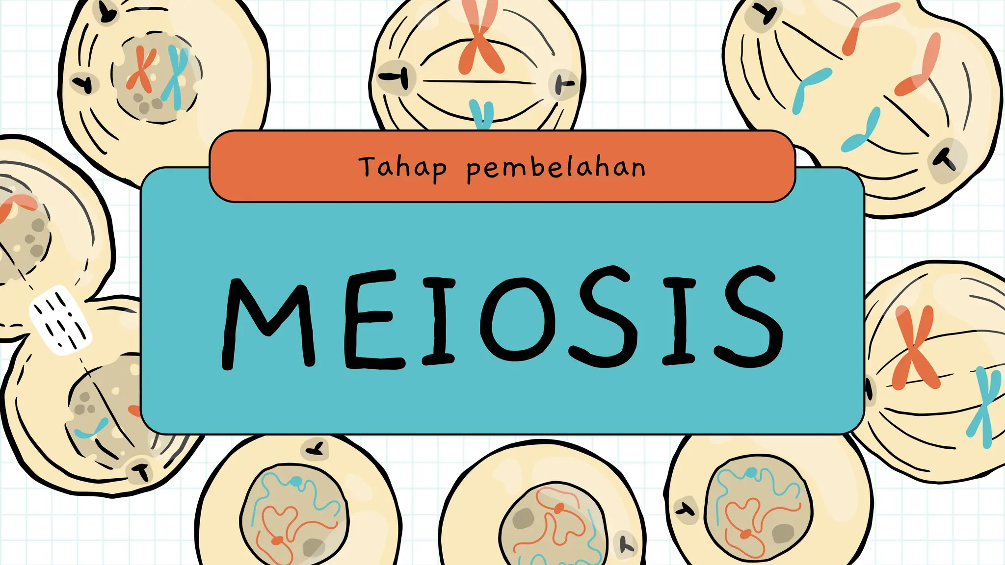 Pembelahan sel mitosis dan meiosis reproduksi.pdf