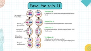 Pembelahan sel mitosis dan meiosis reproduksi.pdf