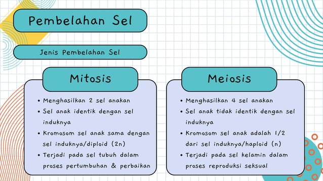 Pembelahan sel mitosis dan meiosis reproduksi.pdf