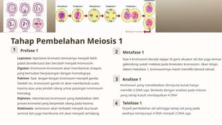 Materi Biologi kelas XII _pembelahan sel.pptx