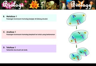 Pembelahan Sel : Meiosis | PPT