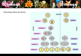 Pembelahan Sel : Meiosis | PPT