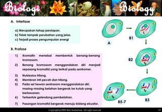 Pembelahan sel: mitosis | PPT