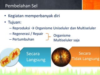 Pembelahan sel dan siklus sel | PDF