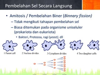 Pembelahan sel dan siklus sel | PDF
