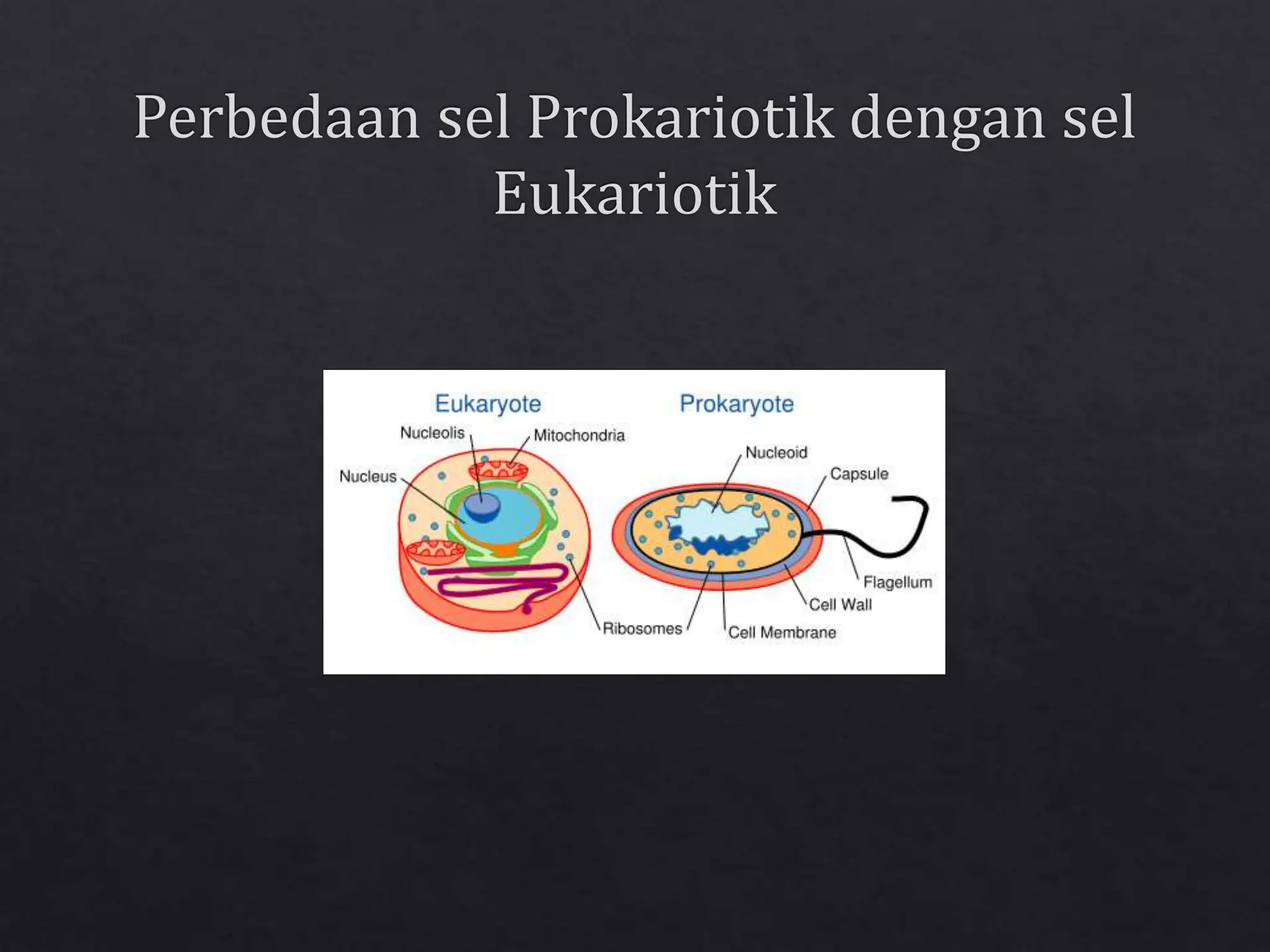 Pembelahan Sel meiosis s1 keperawatan.ppt