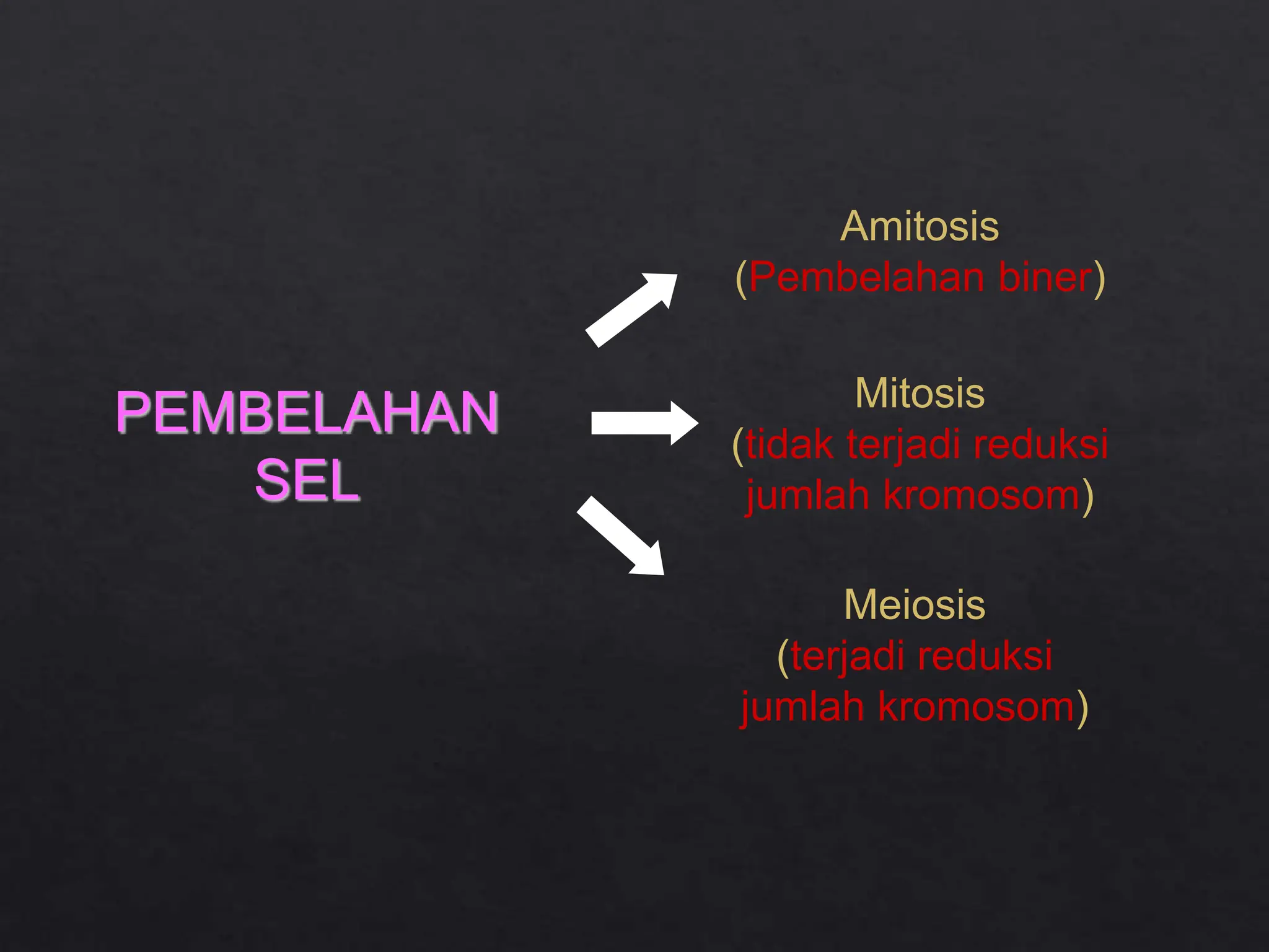 Pembelahan Sel meiosis s1 keperawatan.ppt