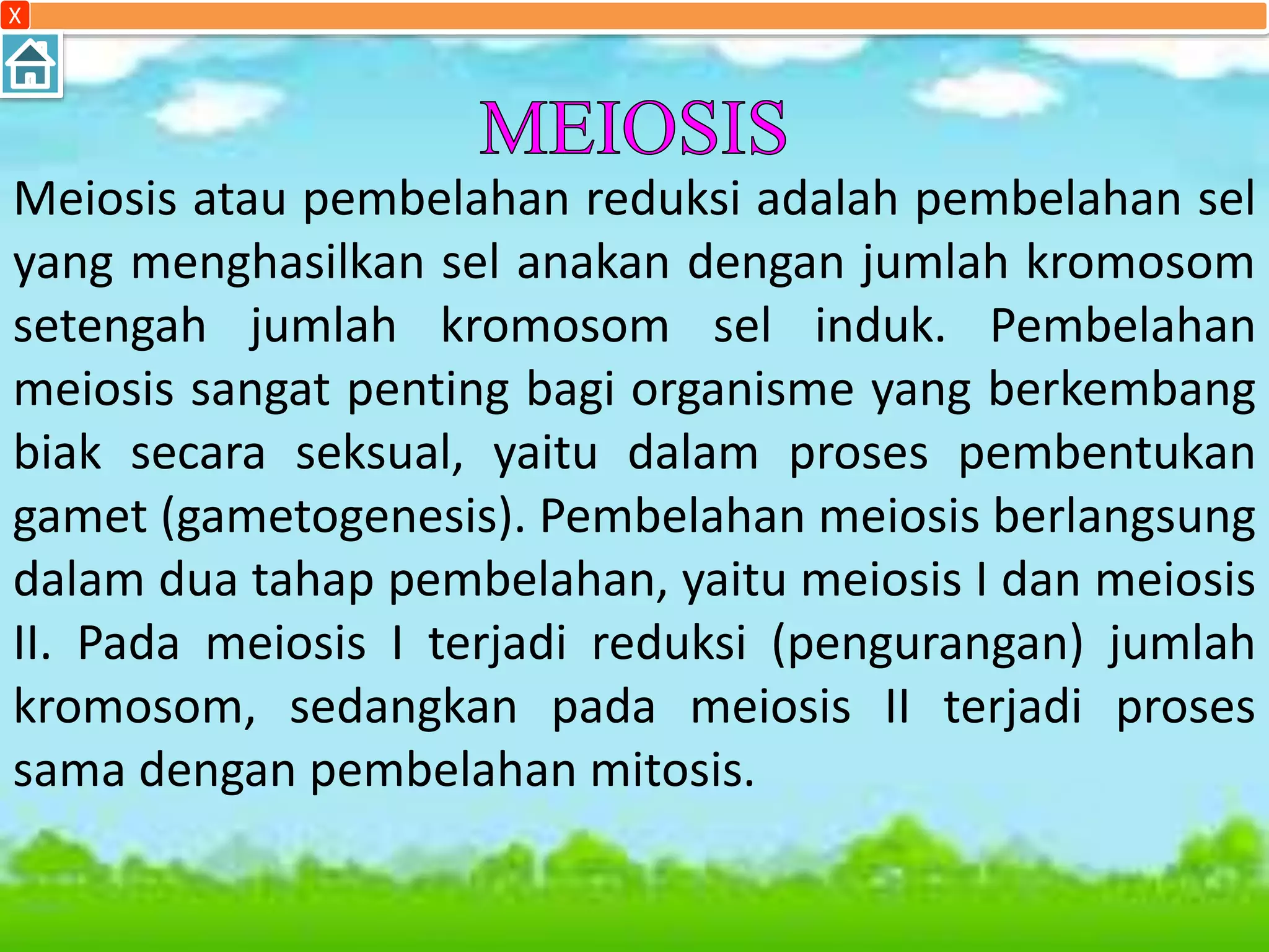 Pembelahan Sel Mitosis N Meiosis Pptx