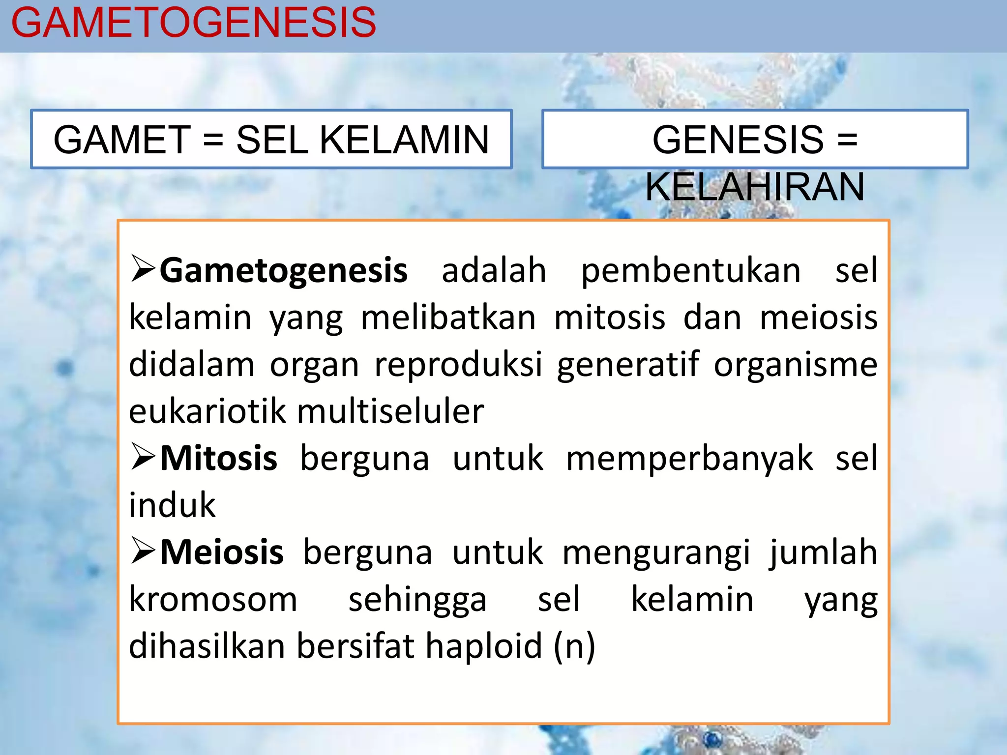 PEMBELAHAN SEL PPT FIX.pptx