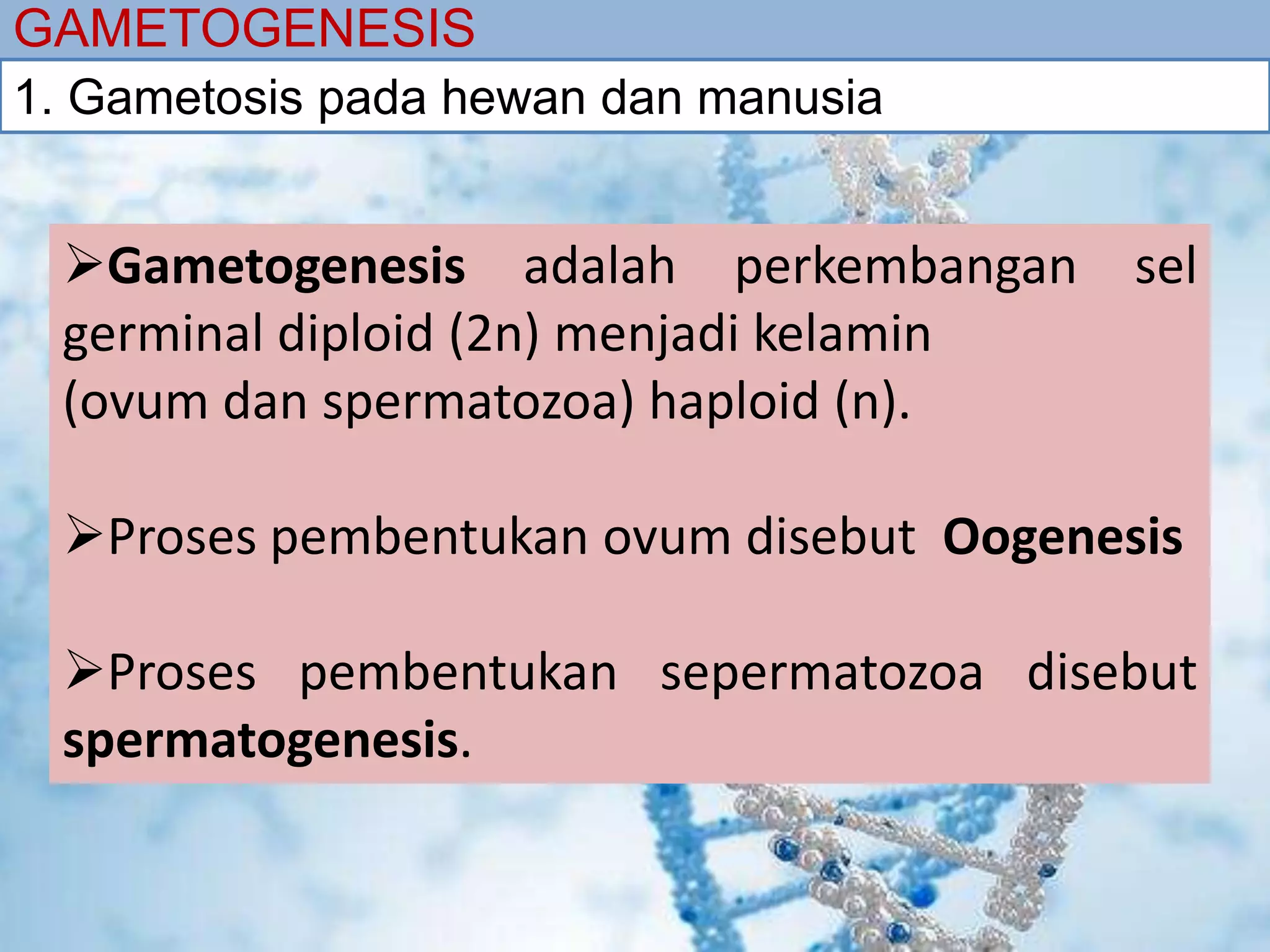 PEMBELAHAN SEL PPT FIX.pptx