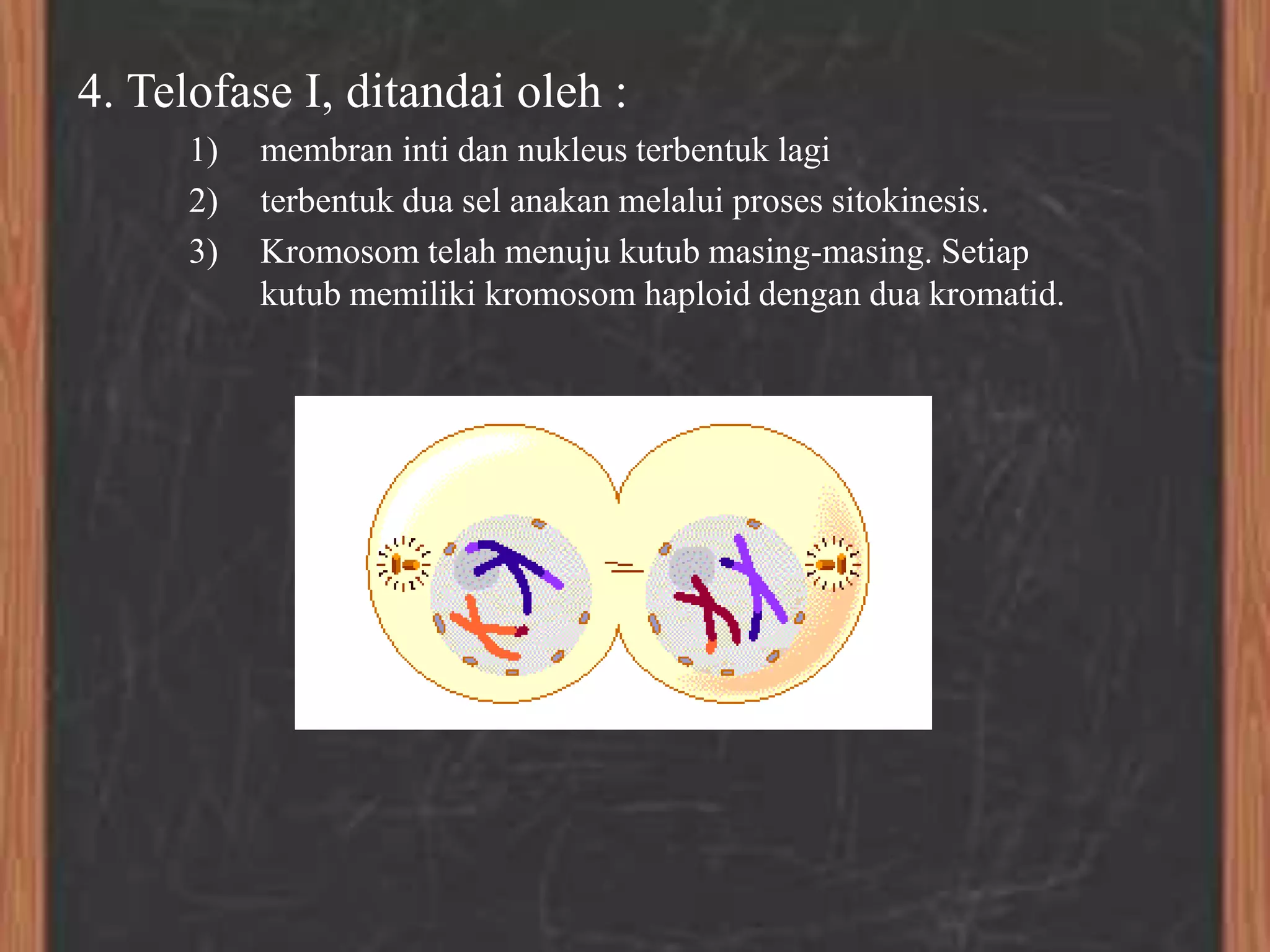 Pembelahan sel secara meiosis | PPTX