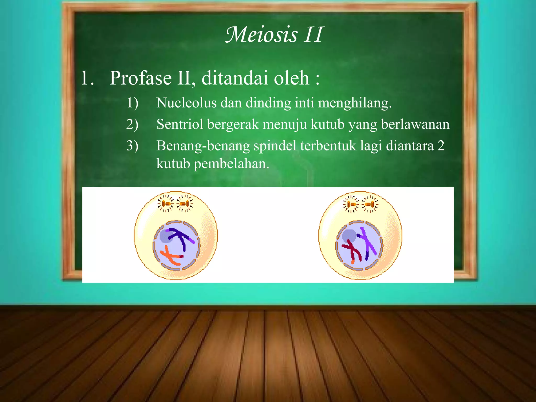 Pembelahan sel secara meiosis | PPTX