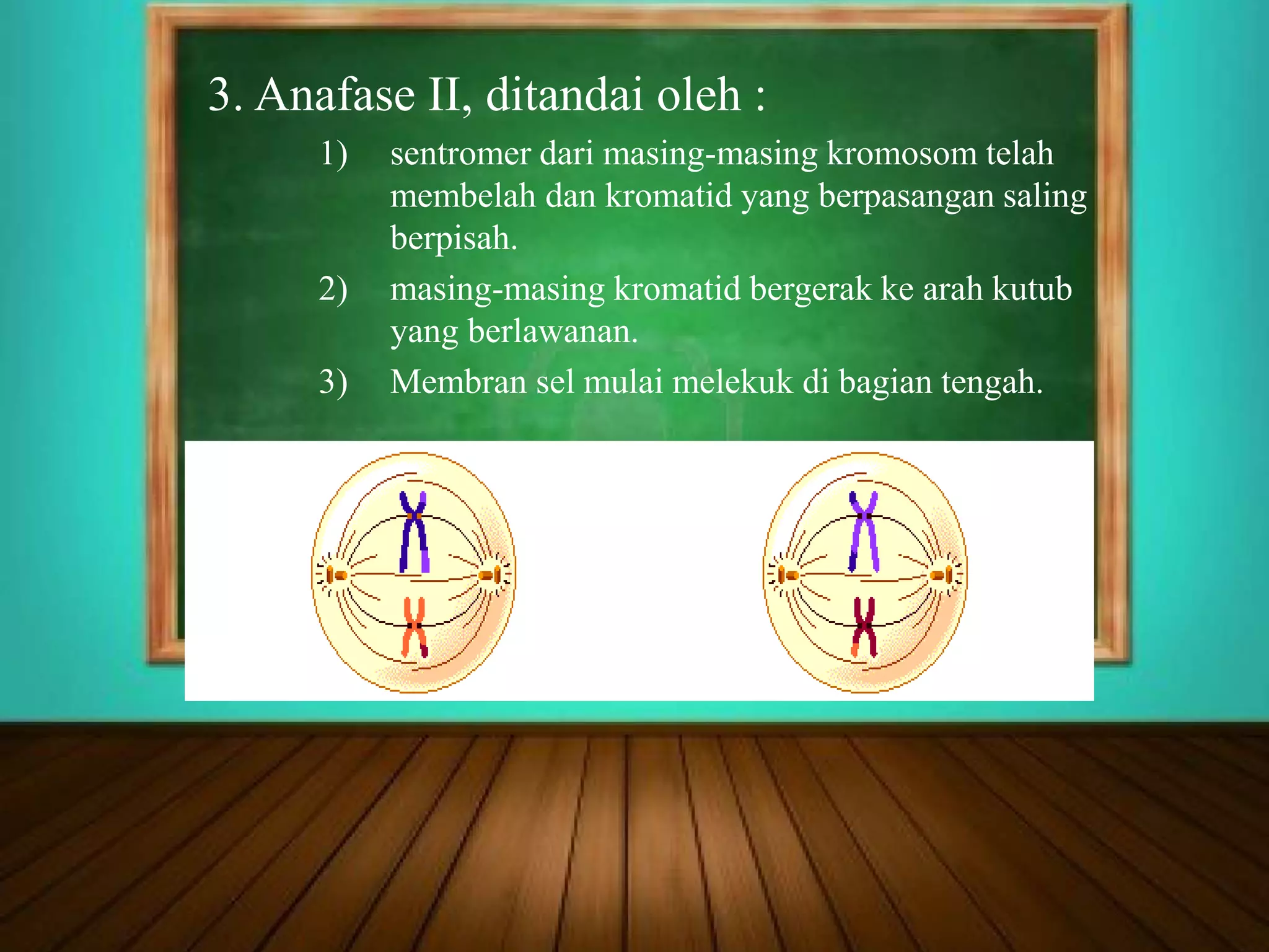 Pembelahan sel secara meiosis | PPTX