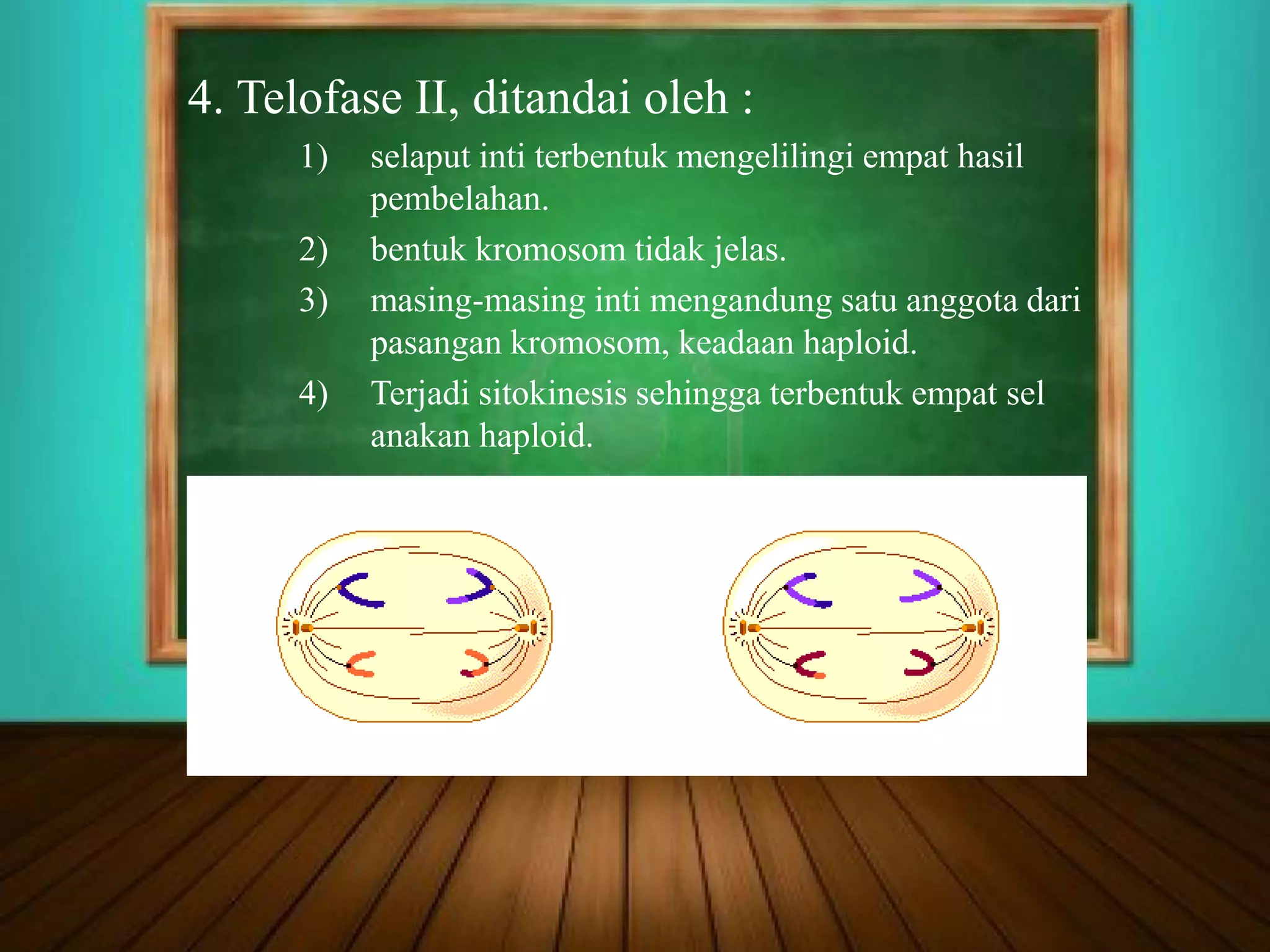 Pembelahan sel secara meiosis | PPTX